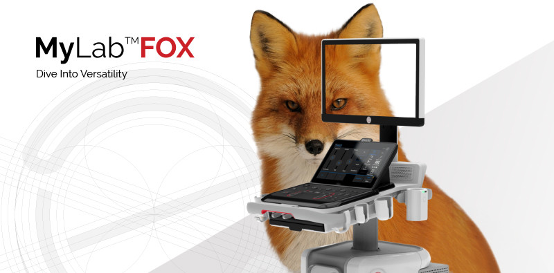 Echographie vétérinaire